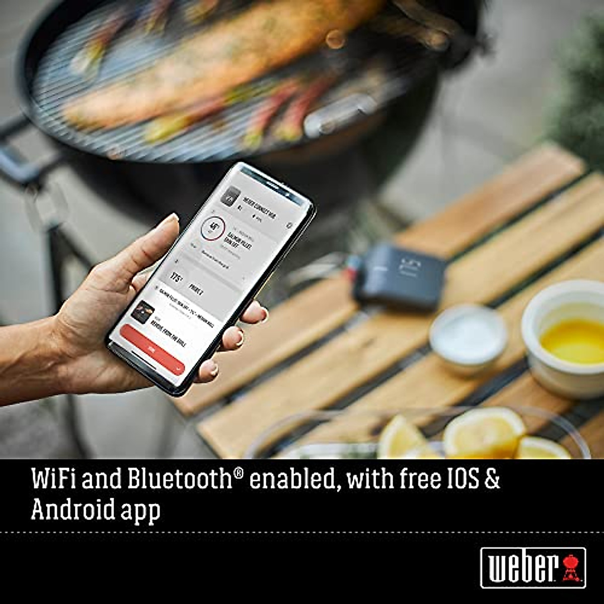 Weber Connect Smart Grilling Hub Storage & Travel Thermometer Travel Case, Grey