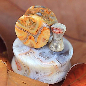 Natural Crazy Lace Agate Stone Saddle Plug (0GA)