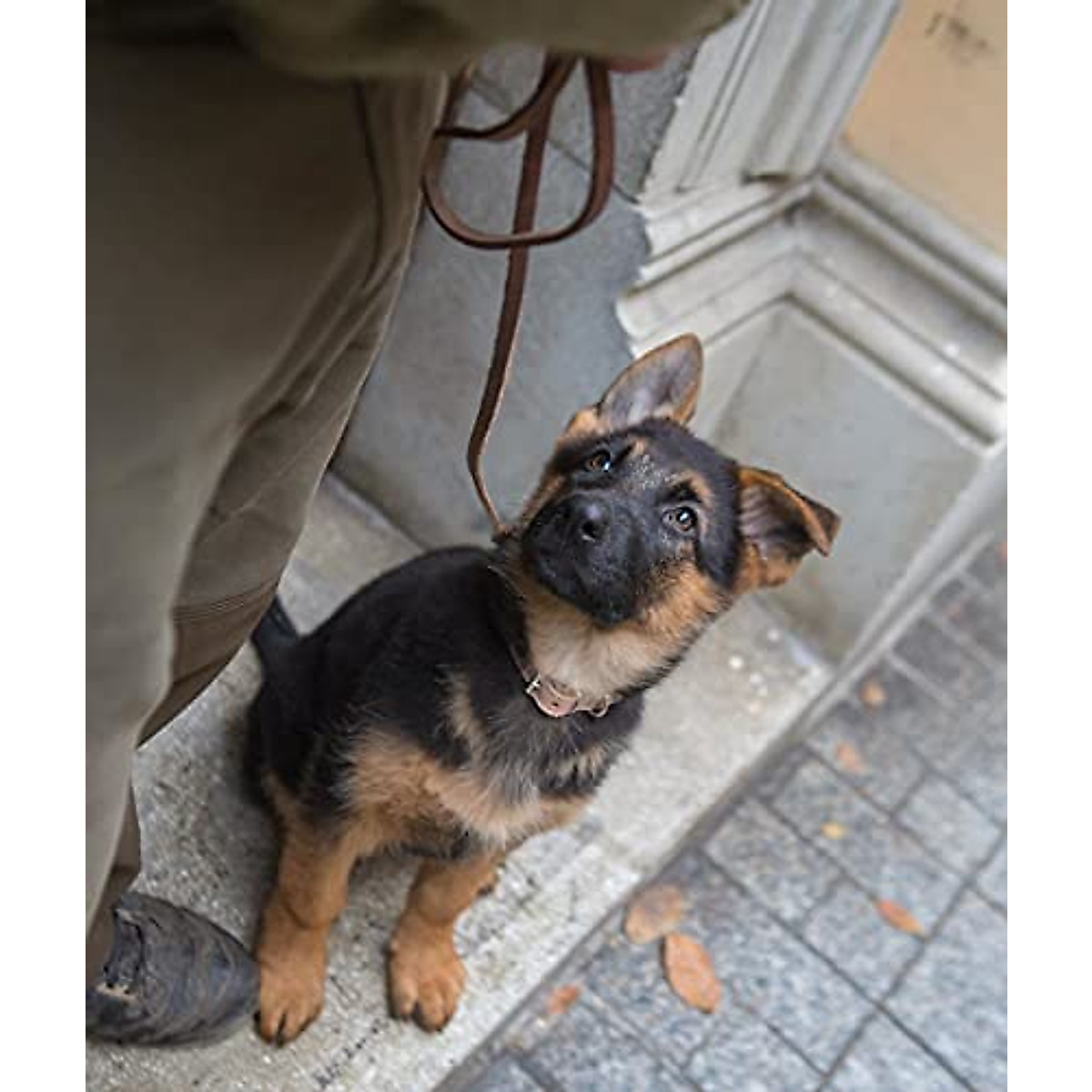 Shepherd - Die Geschichte eines Helden