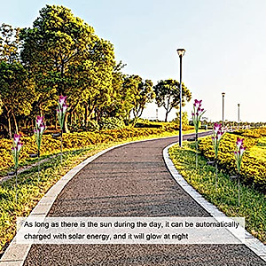 MIGONG Solar Garden Lights, Waterproof Garden Lights Outdoor Solar Lights Outdoor Garden Solar Garden Stake Lights for The Garden Trees Flowers Flowerbed Fence Walkway (Purple Color)
