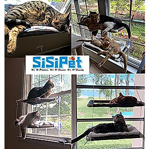 Cat Window Perches Deluxe Double Layers, Free Soft Lamb's Fleece Blanket and Toys, Up to 55 lbs, Space-Saving Cat Bed, Pet Kitty Resting Seat Safety Cat Hammock for Large Cats, Full 360° Sunbathing