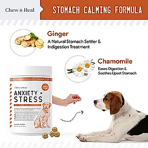 Chew + Heal Dog Calming Treats - 60 Soft Chews, Anxiety Supplement - Stress Relief Thiamine and L-Tryptophan for Travel, Storms, Fireworks - with Ginger and Melatonin - Made in The USA