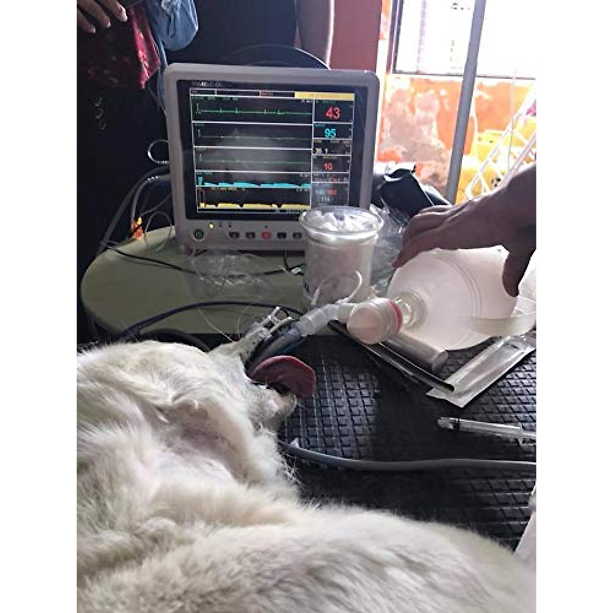 Utech PM5000V Veterinary Multi-parameters Monitor with SPO2, NIBP,Temp,ECG,PR,Resp