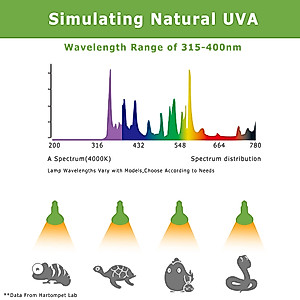 HARTOMPET 60W E26 Reptile Heat Lamp Bulbs, UVA Basking Spot Light for Bearded Dragon, Lizard, Tortoise, Chicks, Other Reptiles & Amphibians - Simulated Natural Sunlight Terrarium Heat Lamps | 2 Pack
