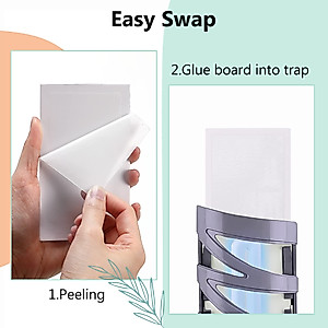 Qualirey 20 Pack Replacement Fly Glue Boards, Compatible with Gardner FlyWeb Fly Classic and Plus Light Trap, Sticky Cards Fly Traps for Indoors, Trap Fruit Flies, Mosquitoes, Gnats