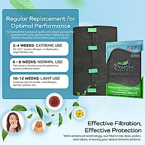 Breathe Naturally Replacement Filters Compatible with Honeywell Air Purifier 38002, HRF-APP1 & More - Activated Charcoal Prefilter - Made in USA - 16" x 48" x 0.2" (Pack of 2 Carbon Prefilters)
