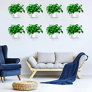 COXWANG Acrylic Small Shelf,Mini Acrylic Wall Shelf,Acrylic Shelf,for Pop Figures,Plant,Picture Photo Modern Wall for Office Bedroom Living Room