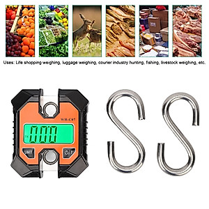 Fish Scale, Multifunction Portable Hanging Scale Digital Fishing Scale with Backlit LCD Display, g, kg, lb Weighing Units, 0.2kg to 100kg Electronic Hook Scale for Fishing, Hunting, Luggage, Shopping
