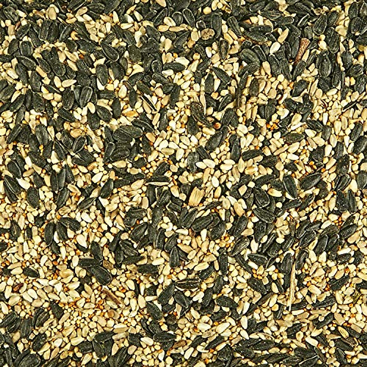 Kaytee Southern Regional Wild Bird Blend, 7-Pound Bag