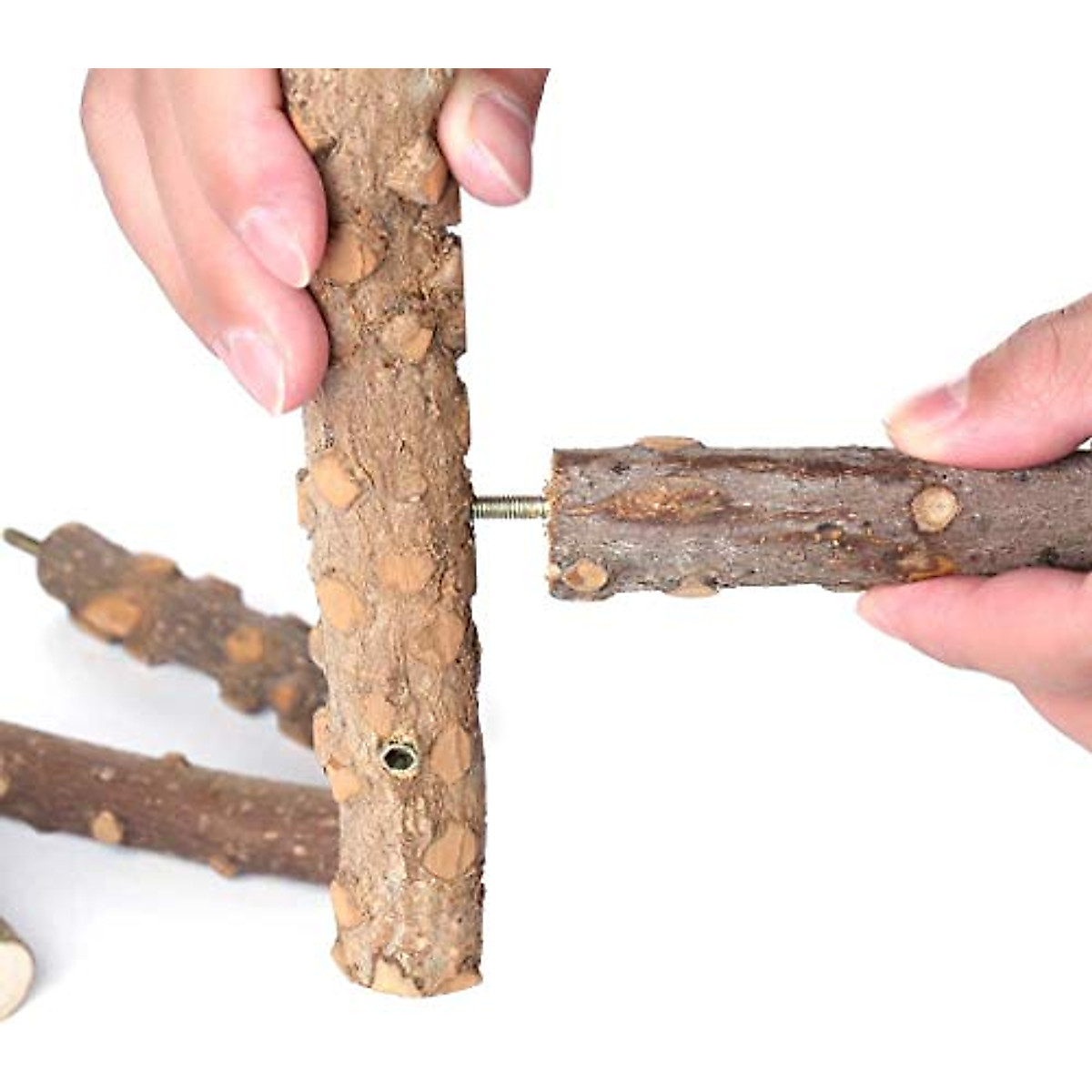 ChummyPet Bird Perch Parrot Nature Wood Stand Activity Branch Stand Bite Toy Natural Birdcage Platform pet Toys Playground for Cockatiel Parakeet, H 25CM