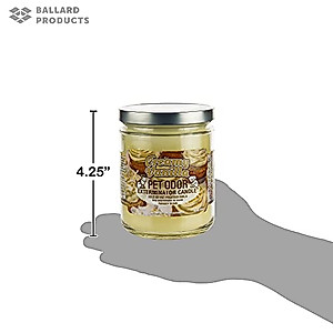 Pet Odor Exterminator Scented Candle Creamy Vanilla - Pack of 2 - Odor Eliminating Candle Bundle with Ballard Products Car Air Freshener