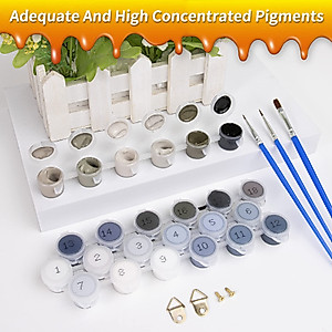 RAOHEVU Paint by Numbers for Adults Beginner - “Road to Mountains” Paint by Numbers Kits (16" x 20") with Acrylic Paint and Paintbrushes Without Frame