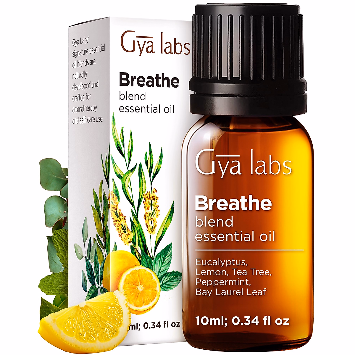 Gya Labs Breathe Essential Oil Blends - Natural Breathe Easy Essential Oils from Eucalyptus, Peppermint Oil and More for Humidifier Cleaner (0.34 fl oz)