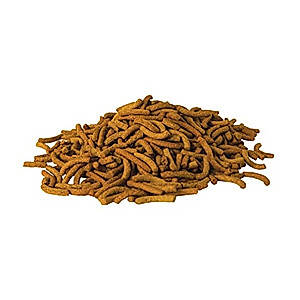 TetraCichlid Floating Cichlid Sticks 11.3 Ounces, Pond Fish Food, Nutritionally Balanced
