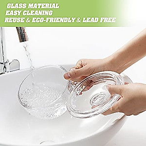 Glass Cereal Bowl Glass Soup Bowl with Handle, Clear Small Bowls with Glass Lid Oatmeal Breakfast Bowls Microwave Safe Glassware Yogurt Bowl for Dessert Pasta Rice,500ml/16 oz