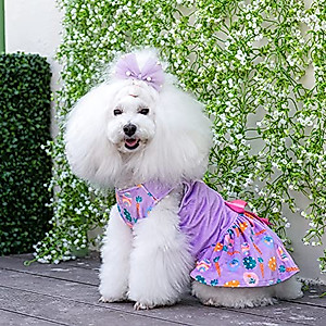 CuteBone White Rabbit Dog Easter Dress Velvet for Small Dogs Girl Eggs Skirt Puppy Purple Dresses Dog Clothes CVA19M-D