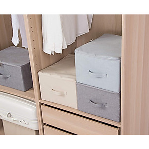 iwill CREATE PRO Collapsible Rigid Storage Bins with Lid, Shelves Clothes Storage Cubes, Tide Up Your Wardrobe, Beige, Set of 2