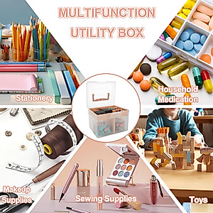 2 Pack Small Portable Plastic Storage Box for Beauty Ornaments Hair Nail Accessories, 2 Layer Cosmetic Case with Handle & Removable Tray & a Divider, Sewing Box Organizer, Art Box (Clear & Pink)