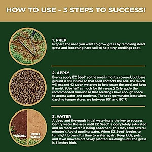 Scotts 17590 EZ Bermuda Grass Lawns Seed (4 Pack), 10 lb