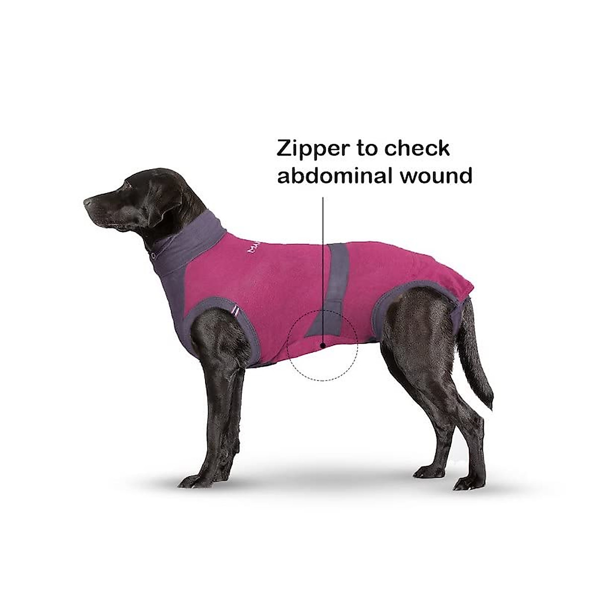 MAXX Dog Recovery Suit – Breathable, Cozy Post-Surgery Suit for Wounds – E-Collar, Cone Alternative (Ruby Red Grey, XS)