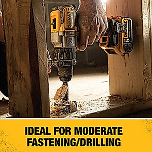 DEWALT 20V MAX Battery, Premium 6.0Ah (DCB206)