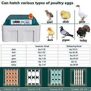 Hethya Pro16 Eggs incubators for Hatching Eggs Fahrenheit with Automatic Turner Chicken Incubators Farm Poultry Incubators