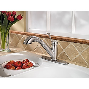 Pfister Bixby 1-Handle Pull Out Kitchen Faucet, Stainless Steel, 1.8 gpm LF5385LCS