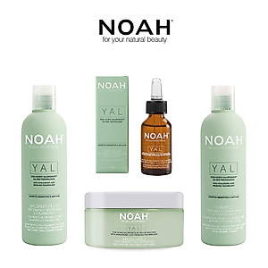 NOAH for your natural beauty Restore Hair Mask, 6.76 fl.oz - Hydrating, Anti Aging Hair Mask with Hyaluronic Acid, Avocado Oil, Coconut Oil extracts, Paraben Free, Deep Hair Conditioner