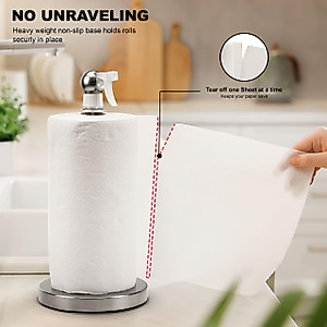 Everyday Solutions Spray Bottle Paper Towel Holder - Space Saving Countertop Paper Towel Roll Holder w/ Hidden Removable 7oz Spray Bottle - Rust-Resistant Stainless Steel & Reusable Heavy Duty Plastic