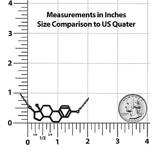 Clayton Jewelry Labs - Estrogen Molecule Stainless Steel Necklace (Black)