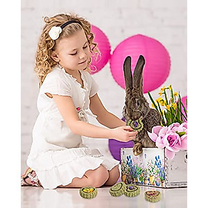 Sofier 12Pcs Timothy Hay Treats Rabbit Toys Bunny Toys Guinea Pig Toys Natural Chews for Teeth Handmade Rabbit Chews and Treats Chinchilla Rat Hamster Gerbil