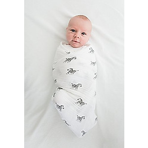 Amazing Baby - Sensory Muslin Swaddle Blanket, Premium Cotton, Zebra, Black and White for Baby Visual Development
