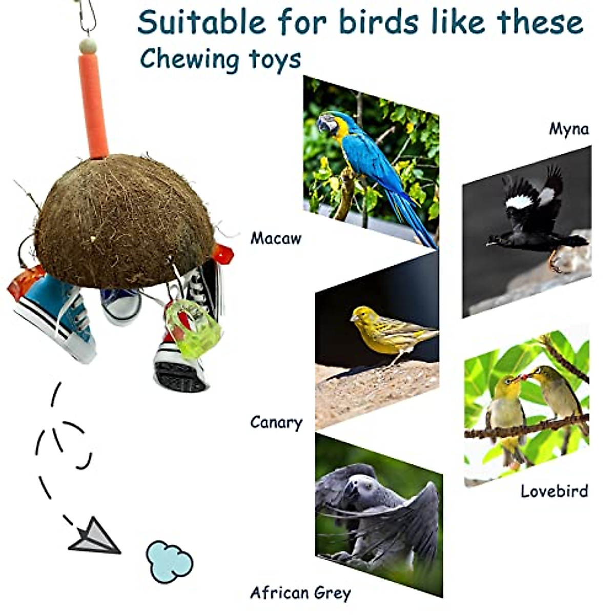 Bird Training Toys Coco Shell with Mini Sneaker Ring Chew Toy, Parrot Cage Hanging Toys for African Grey ,Cockatoo,Macaw