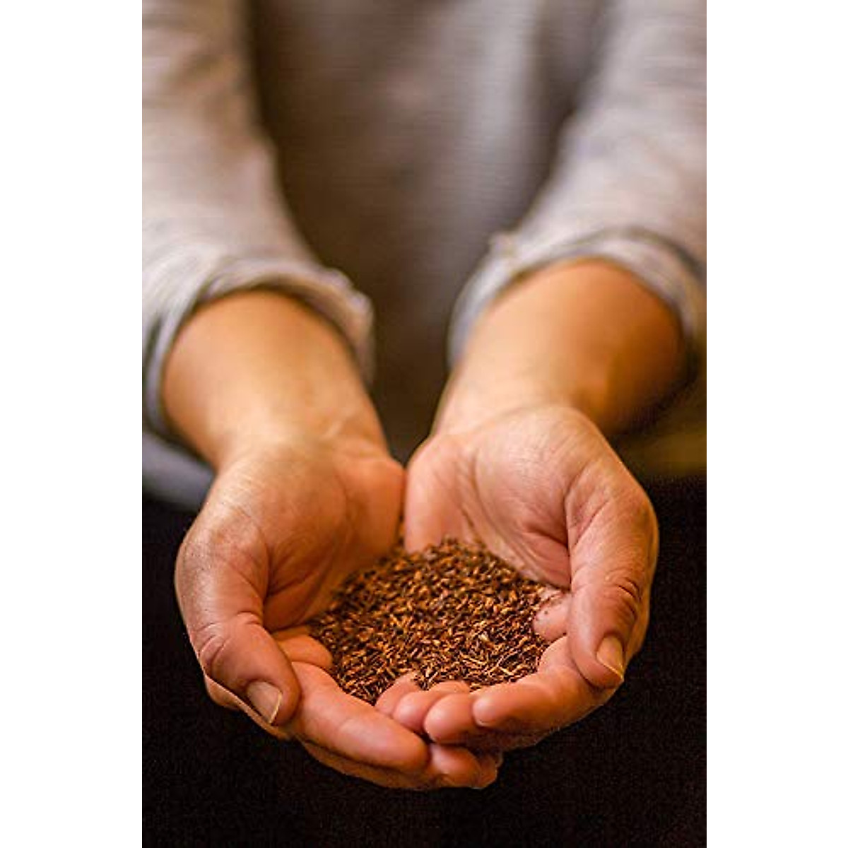 Golden Moon Rooibos Tea - Organic Herbal Tea - Caffeine-Free - Loose, Non-GMO - Travel Tin (30 Servings)