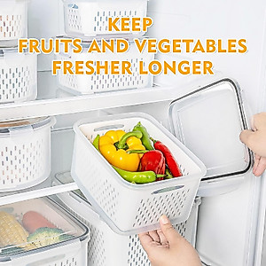 4 PCS Large Fruit Storage Containers for Fridge with Removable Colanders, Airtight Food Storage Containers with Lids, 4 in 1 Produce Containers Keep Food Meat Fresh Longer (0.38L+0.8L+1.7L+3.15L)