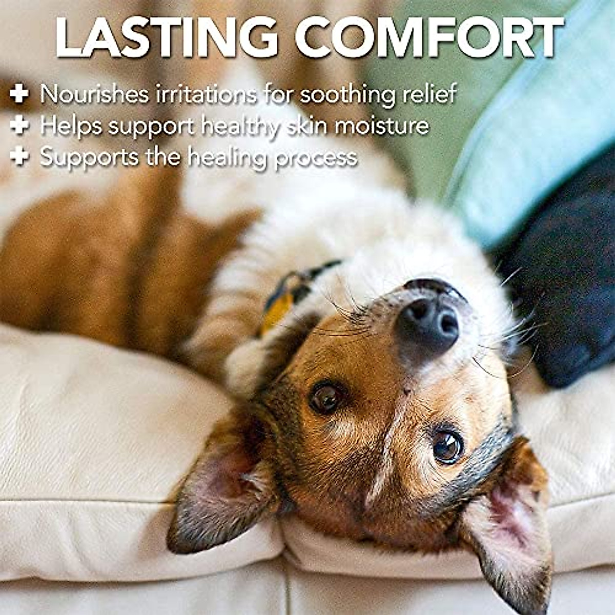 Vet's Best Vet’s Best Dog Hot Spot Itch Relief Spray | Relieves Dog Dry Skin, Rash, Scratching, Licking, Itchy Skin, and Hot Spots | No-Sting and Alcohol Free | 8 Ounces