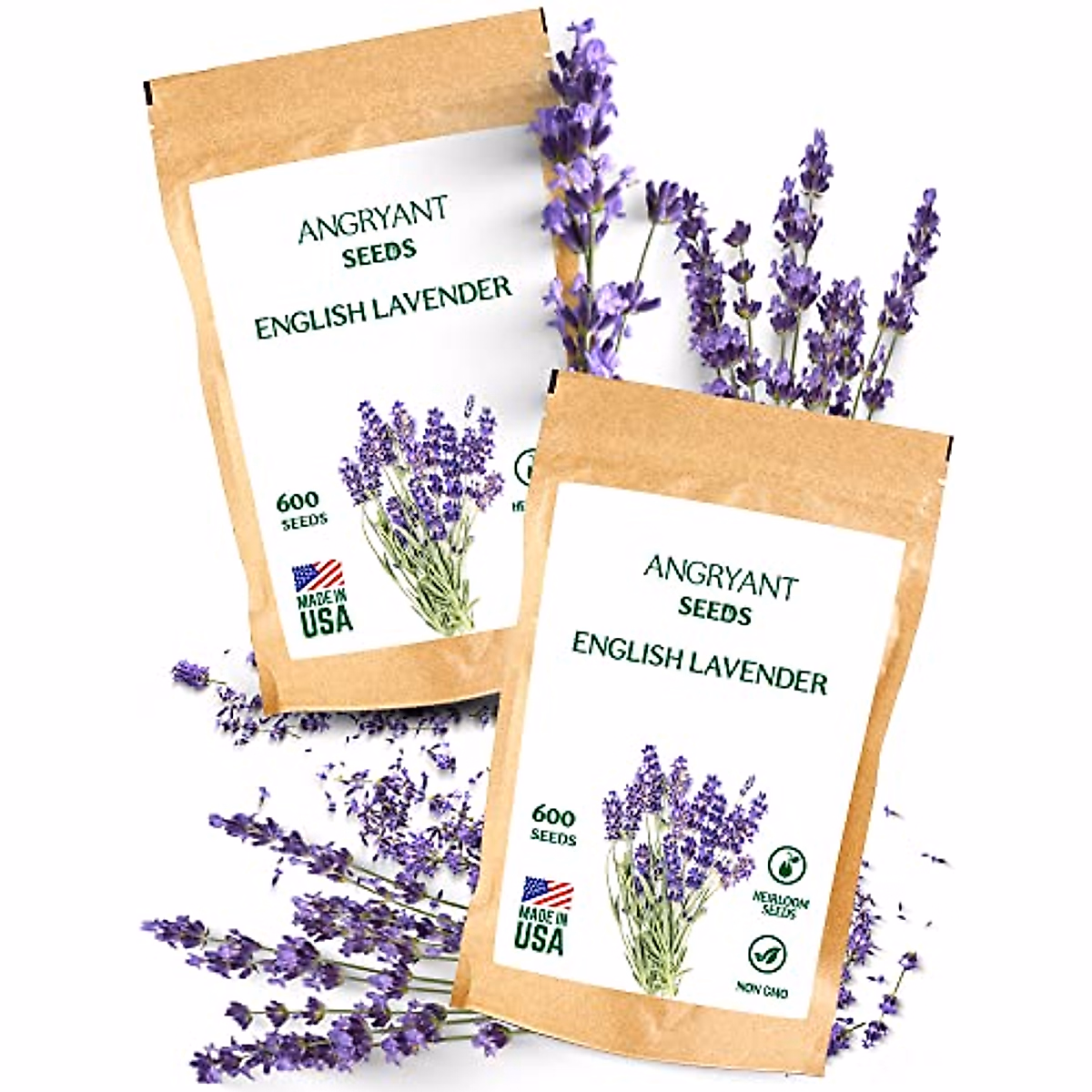 English Lavender Seeds for Planting Medicinal Herb Garden - 1,200 Heirloom, Non-GMO, Untreated Seeds - 100% USA Grown - Easy to Grow Perennial Violet-Purple Flowers - Suitable for Indoors and Outdoors