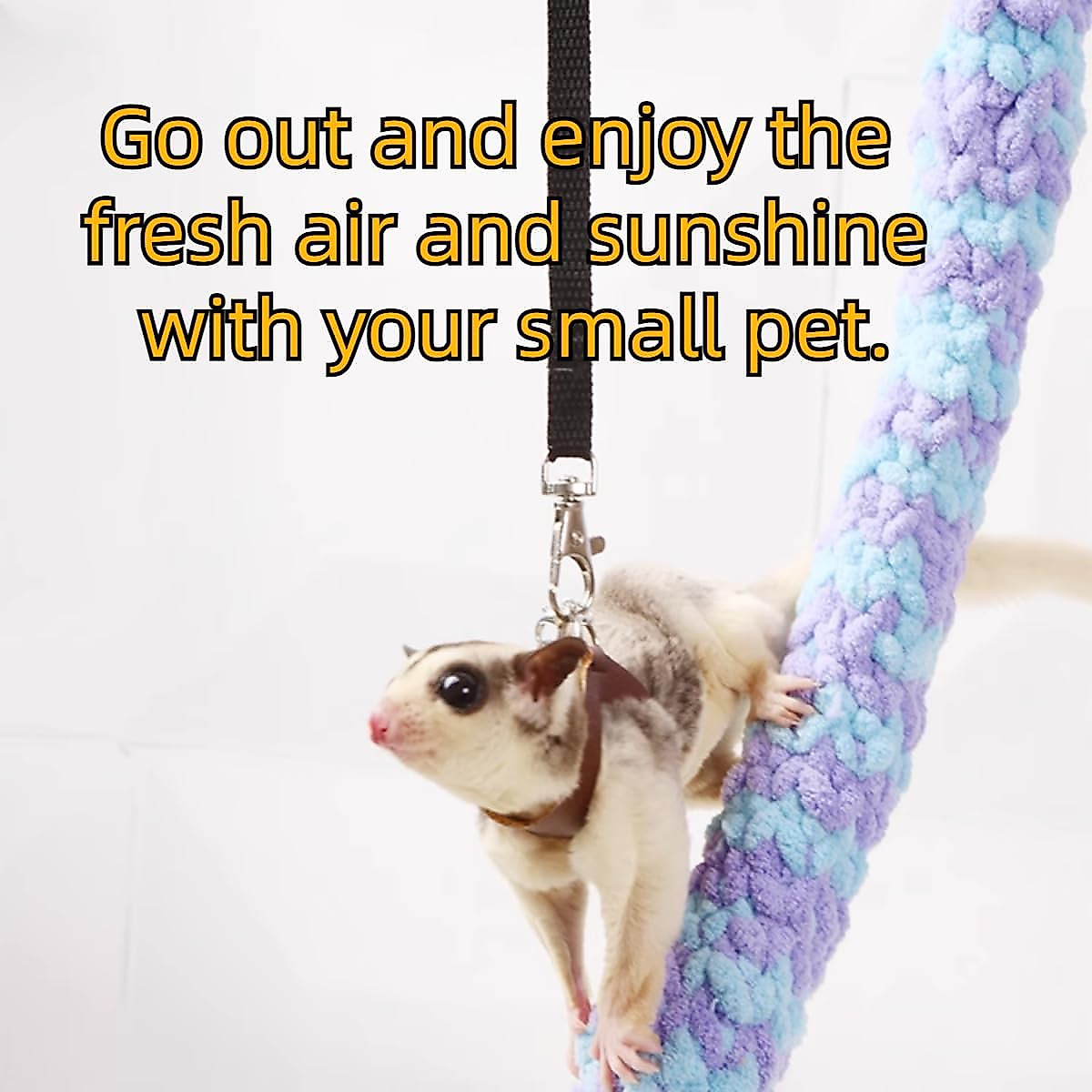 MANON ROSA Sugar Gliders Harness Leash Set - 3 Pcs Training Walking Gear Small Animal Adjustable Traction Ropes Vest for Squirrels Hamsters Rats Gerbils Reptiles Bearded Dragon Lizards Black