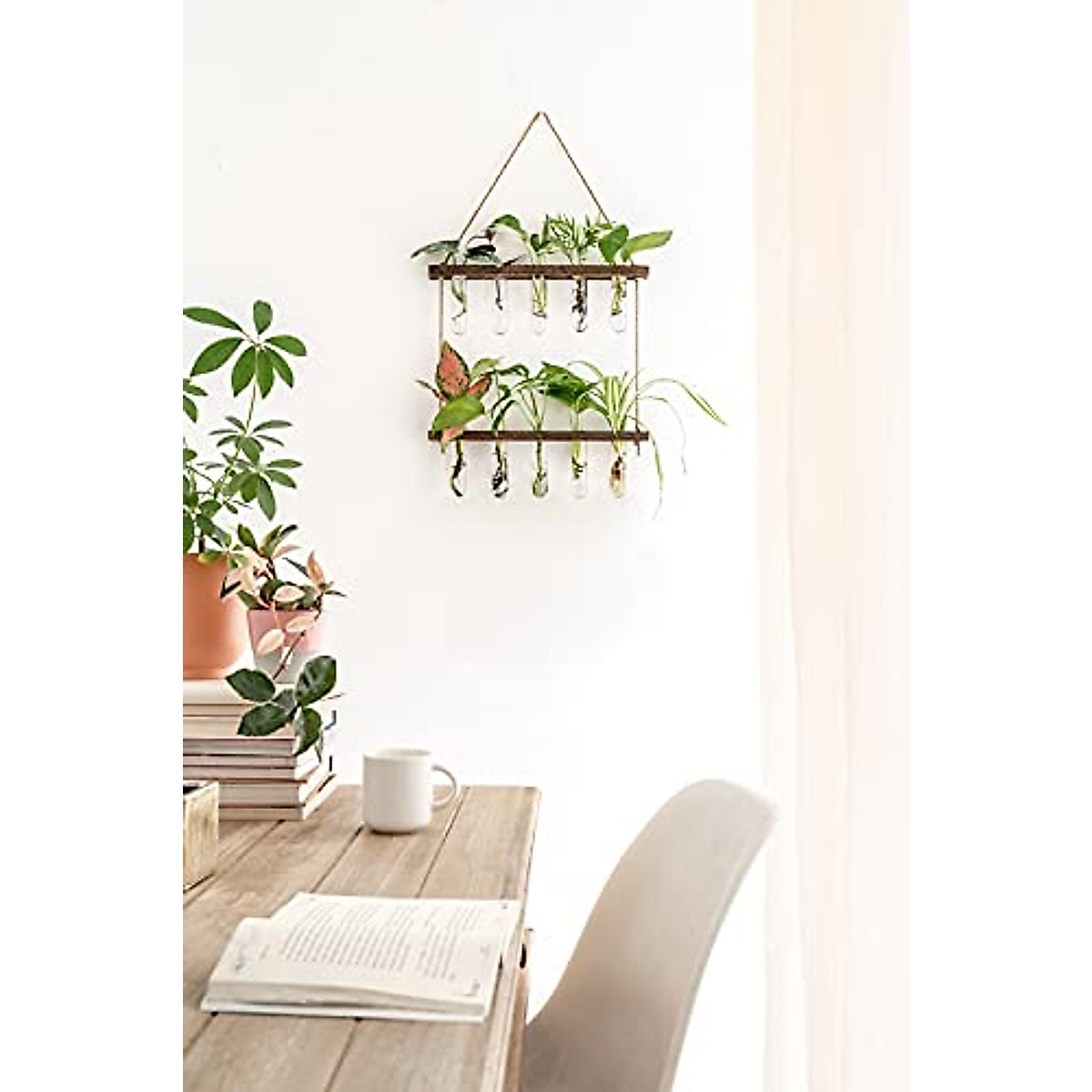 Mkono Plant Propagation Tubes, 2 Tiered Wall Hanging Plant Terrarium with Wooden Stand Mini Test Tube Flower Vase Glass Planter for Hydroponic Plant Cutting Home Garden Office Decor Plant Lover Gift