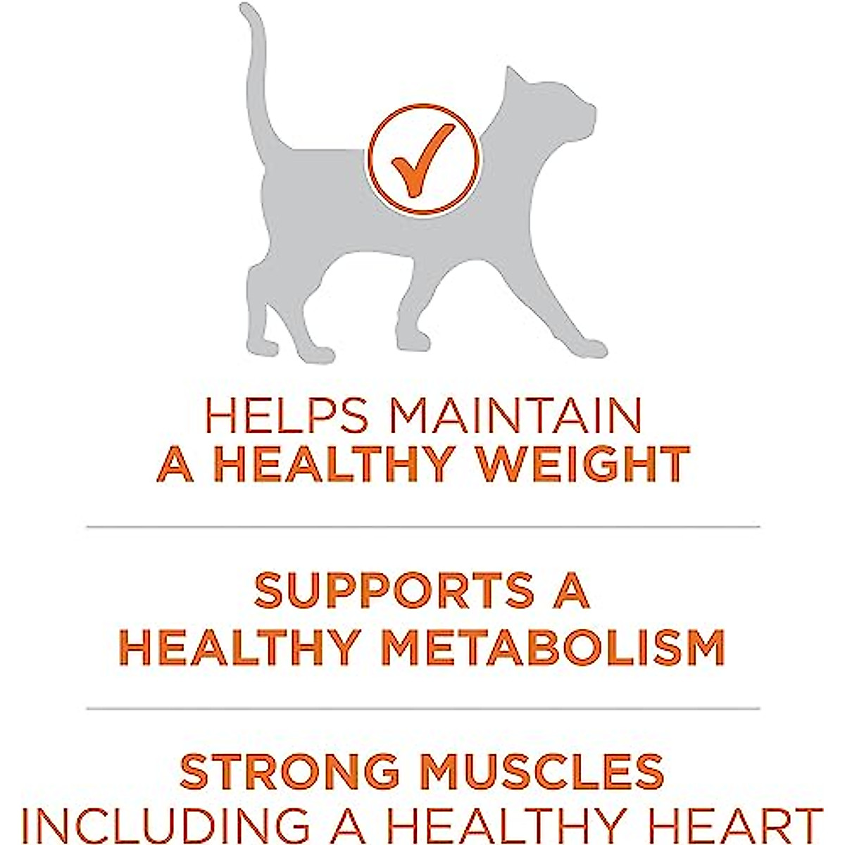 Purina ONE High Protein, Healthy Weight Dry Cat Food, +Plus Ideal Weight With Turkey - 3.5 lb. Bag