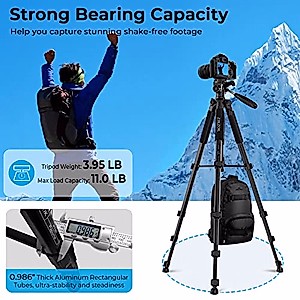 ZIKZOK 75 Inch Camera Tripod, Lightweight Travel Aluminum Cell Phone Video Tripod for DSLR/SLR/DV/GoPro/iPhone with Bag (Weight 2.8Lbs/Load 11Lbs)