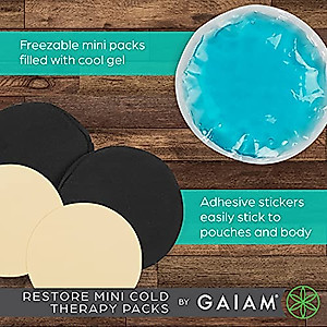 Gaiam Mini Cold Therapy Ice Packs for Injuries, Post-Workout Recovery, and Pain Relief - Includes 2 Cold Packs, 1 Pouch, 5 Adhesive Stickers, and 1 Freezer Bag - Convenient and Reusable