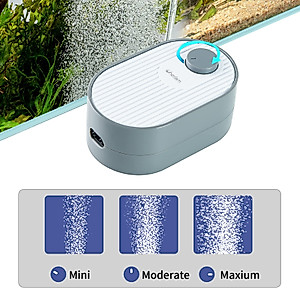 CHERLAM Aquarium Air Pump, Oxygen Pump with Adjustable Valve, Ultra Quiet Domestic Fish Pump, Double Outlets Fish Tank Air Pump Bubbles (up to 32GAL)