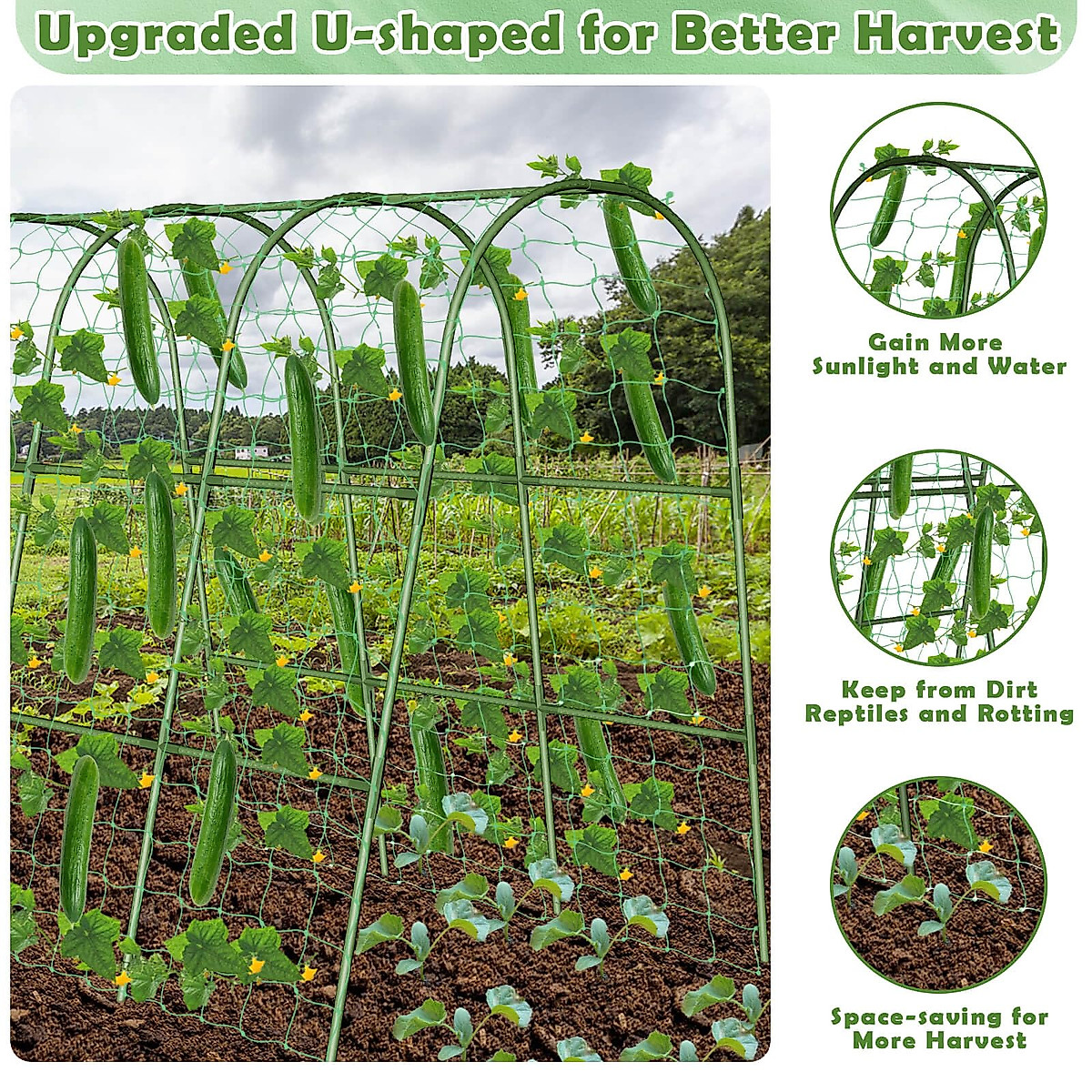 Tetutor Cucumber Trellis for Raised Bed 65"×48", Garden Arch Trellis for Climbing Plants Outdoor, Metal Garden Trellis for Vegetables, Cucumber Trellis for Tomato, Bean, Pea, Grape, Plant, Squash