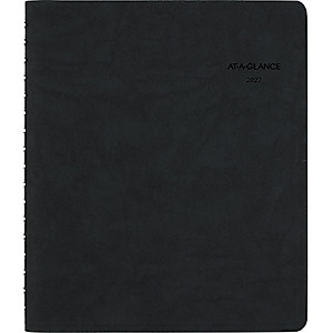 2022 Daily Appointment Book & Planner by AT-A-GLANCE, 6-1/2" x 8-3/4", Medium, The Action Planner, Black (70EP0305)