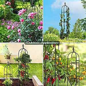 Plant Cages and Supports, Deaunbr Tomato Cage 6FT Tall Plant Stakes Heavy Duty Garden Trellis for Indoor & Outdoor Plants, Climbing Plant, Tomatoes, Vegetables, Fruits, Flowers, Pots, Vines -1 Pcs
