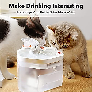CAT CARE Cat Water Fountain-84oz/2.5L Ultra Quiet Pet Water Fountain, Automatic Dog Water Bowl Dispenser with Ultra-Filtration Tech, Removes Various Impurities, Human Grade Drinking Fountain