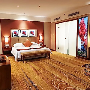 Medog 9x12 Picture Frame Set of 1 Black 9x12 Inch Picture Frames Display Pictures 9x12 Without Mat Wall Mounting Document Certificate Frames Picture Frame 9x12 (P1P BA)