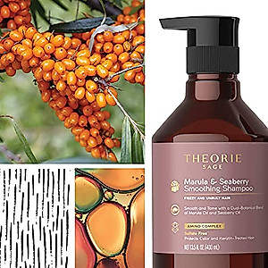 Theorie Marula and Seaberry Smoothing Conditioner - Smooth & Tame - Sulfate Free - Suited for Frizzy & Unruly Hair - Protects Color and Keratin Treated Hair, Pump Bottle 400mL