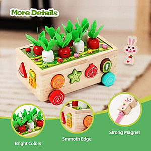 Montessori Toys for Toddlers, Rundad Wooden Carrot Pulling Baby Toy, Learning & Educational Shape Sorter for Fine Motor Skills, Birthday Gift for 3+ Year Old Boy Girl